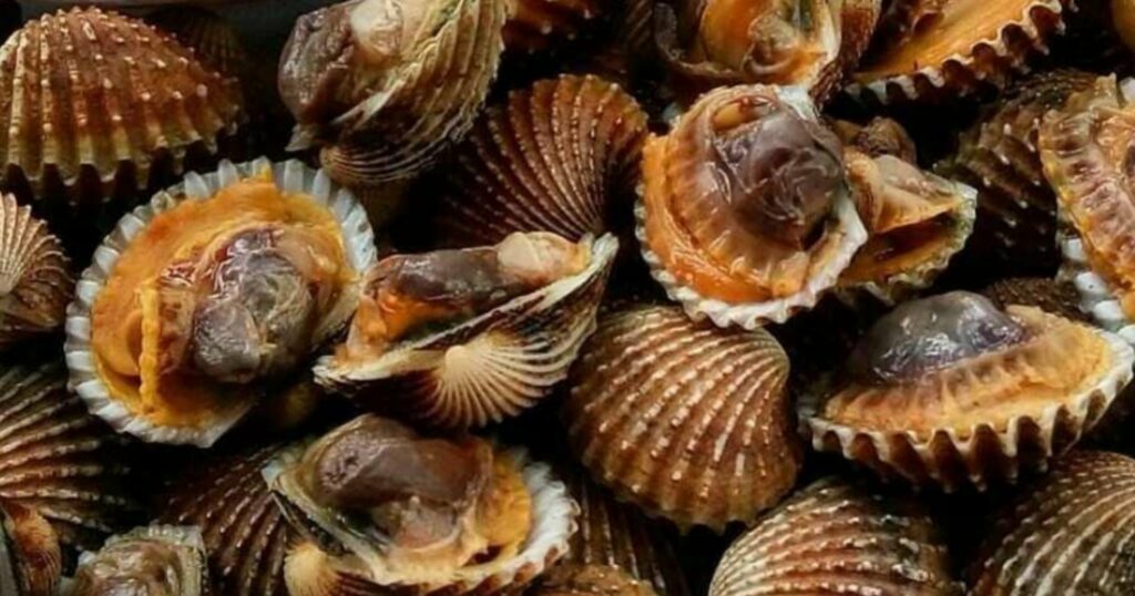 Kerang Rebus Serai - Kuali Sudip